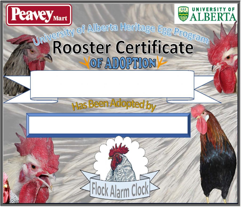 Donations - Heritage Chickens