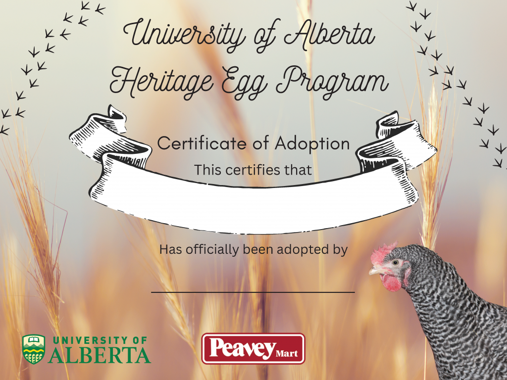 Adopt-a-Chicken - Heritage Chickens